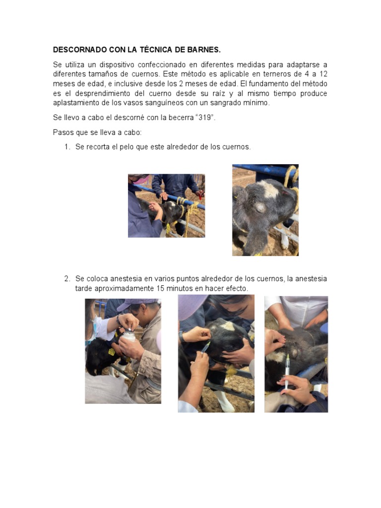 Descornado Con La Técnica de Barnes | PDF