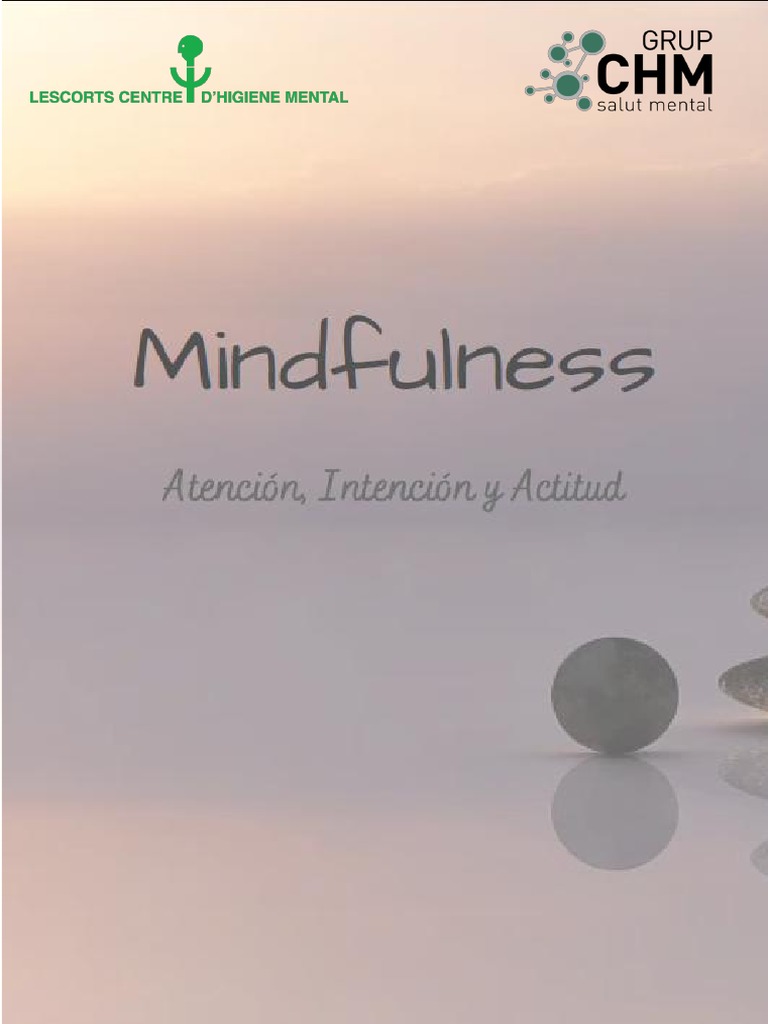 03 Manual Mindfulness | PDF | Experiencia | Mente