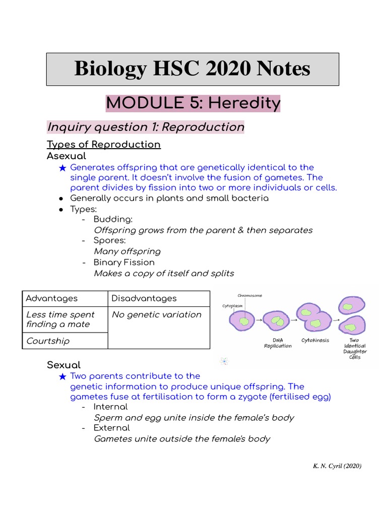 HSC Biology Notes | Download Free PDF | Menstrual Cycle | Dominance ...