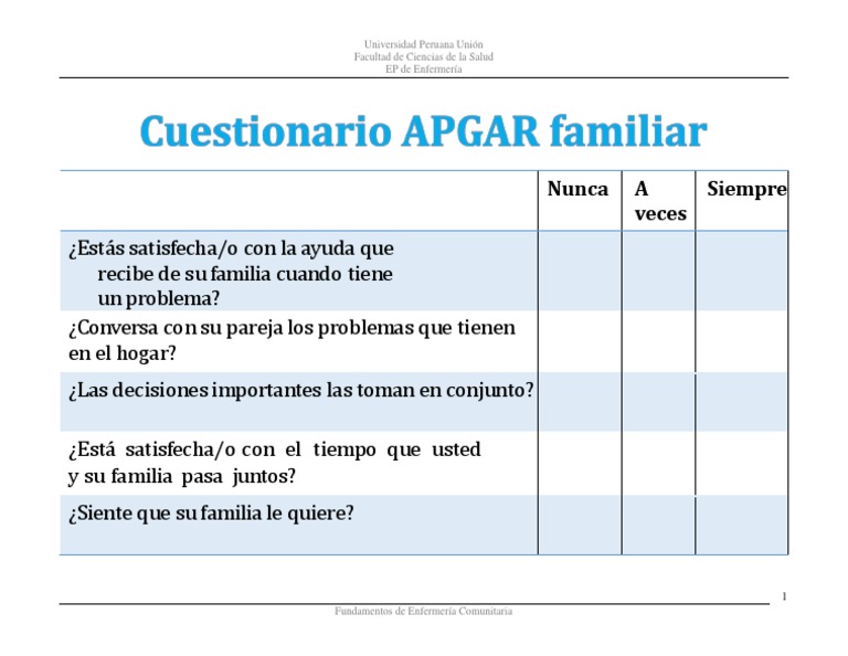 APGAR Familiar | PDF