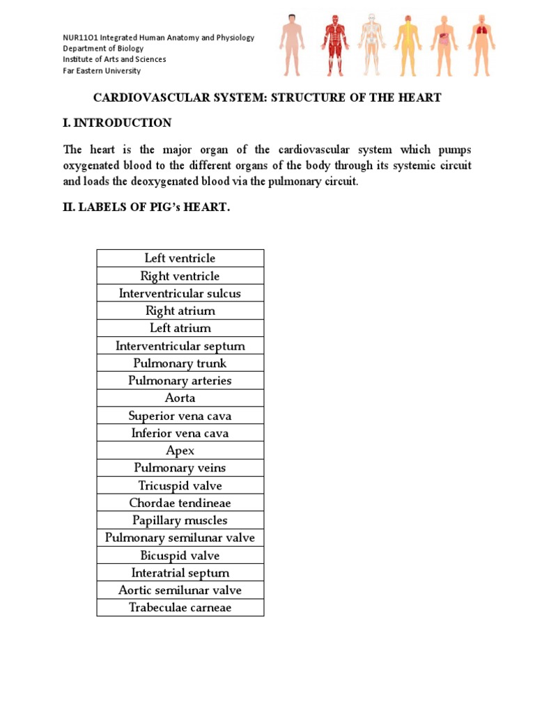 Pigs Heart Labels | PDF