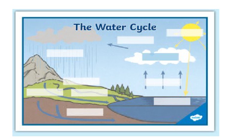 Water Cycle | PDF