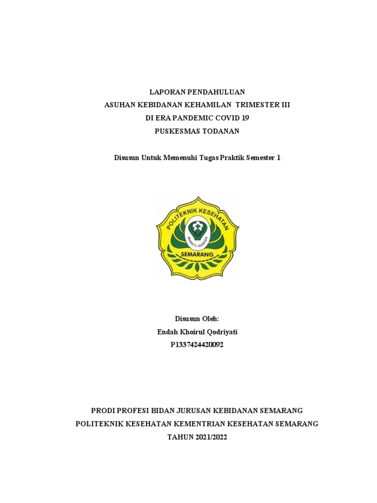 LP TM III Kehamilan Endah | PDF