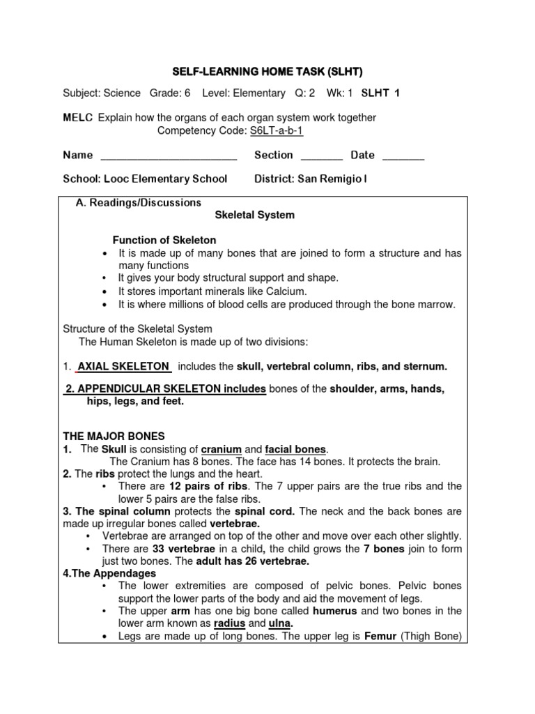 Science-6 - Q2 - Week1-SLHT 1 Ok | PDF | Skeleton | Bone