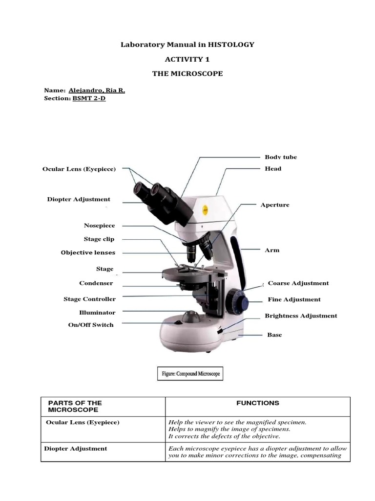 Microscope Parts and Functions Guide | PDF | Microscope | Optical Devices