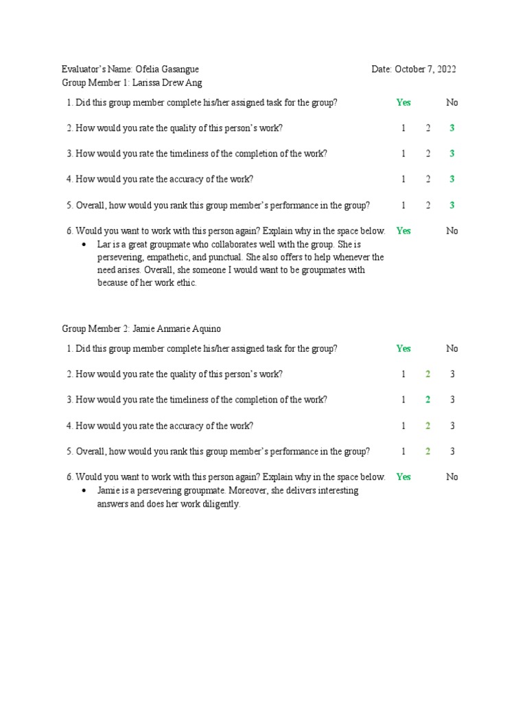 Group Member Performance Evaluations | PDF | Psychology