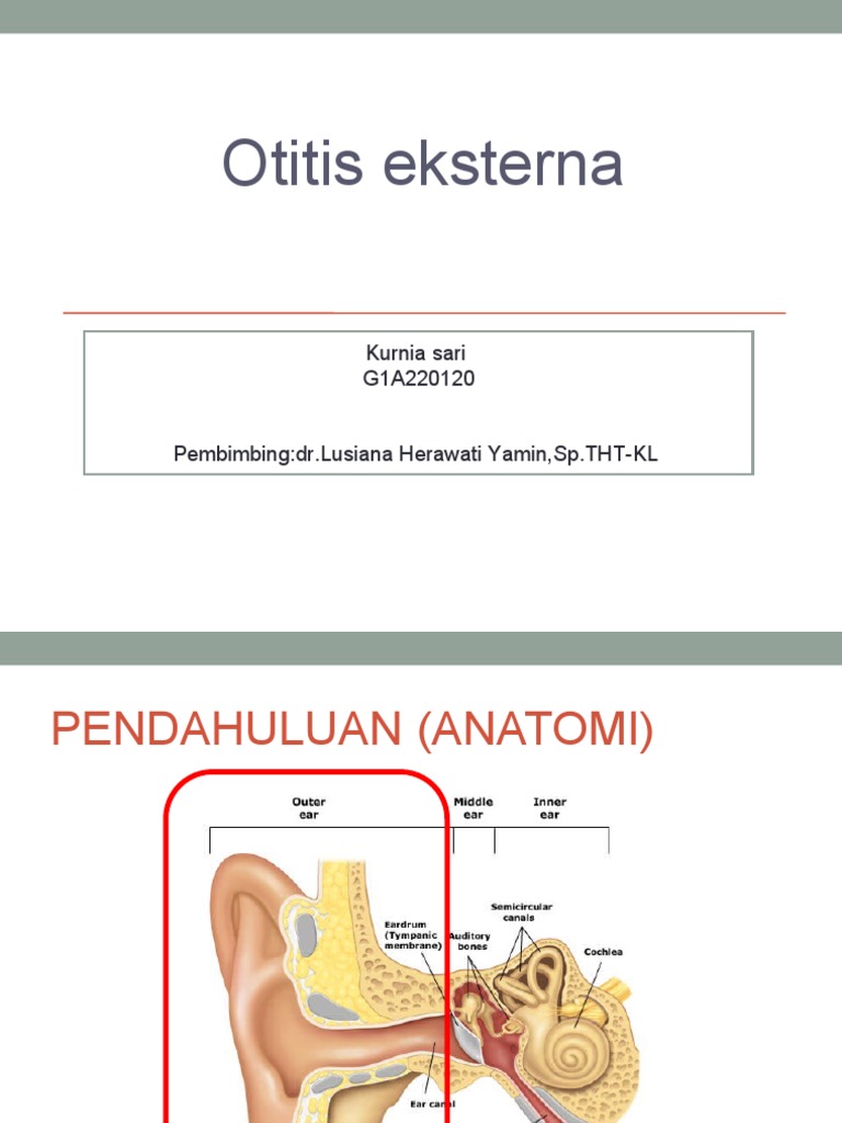Otitis - Eksterna Fix | PDF