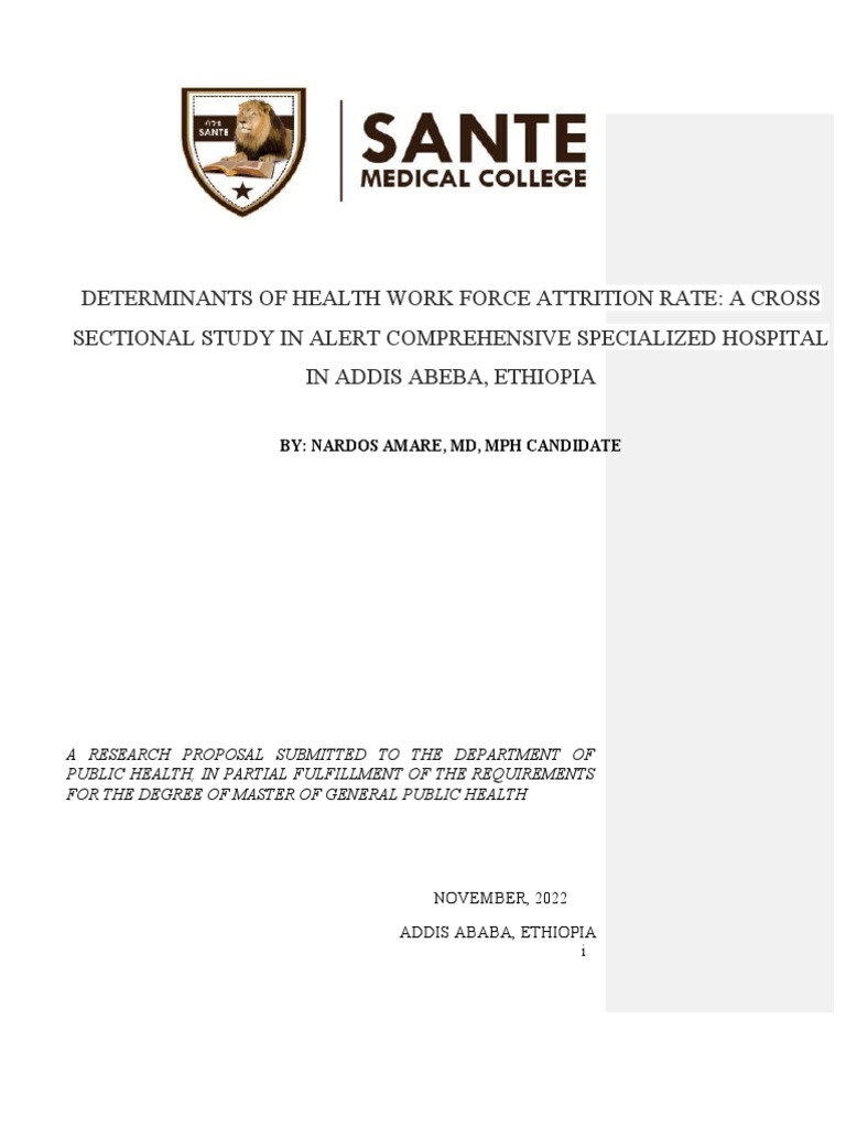 Research Proposal | PDF | Nursing | Health Human Resources