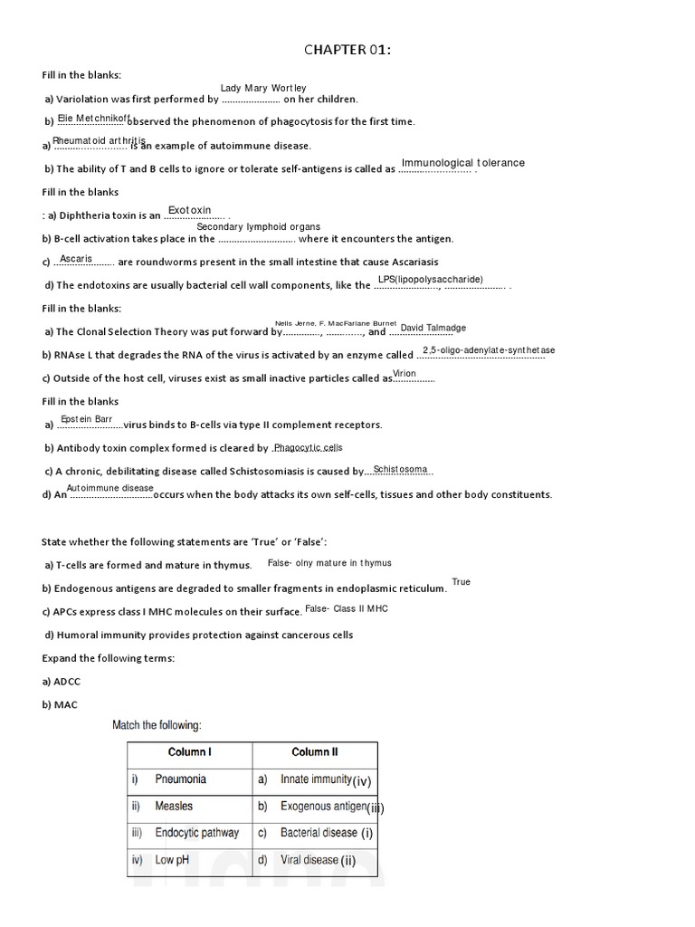 Chapter 04: Fill in the blanks related to immune system components ...