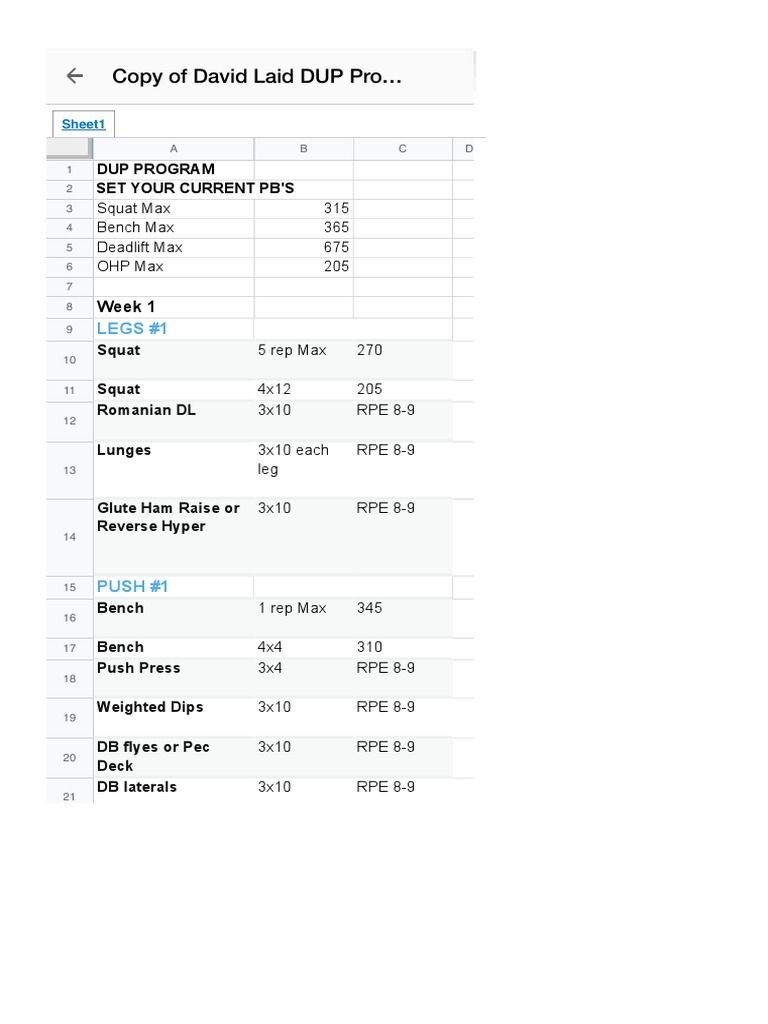David Laid DUP Program - Google Drive | PDF