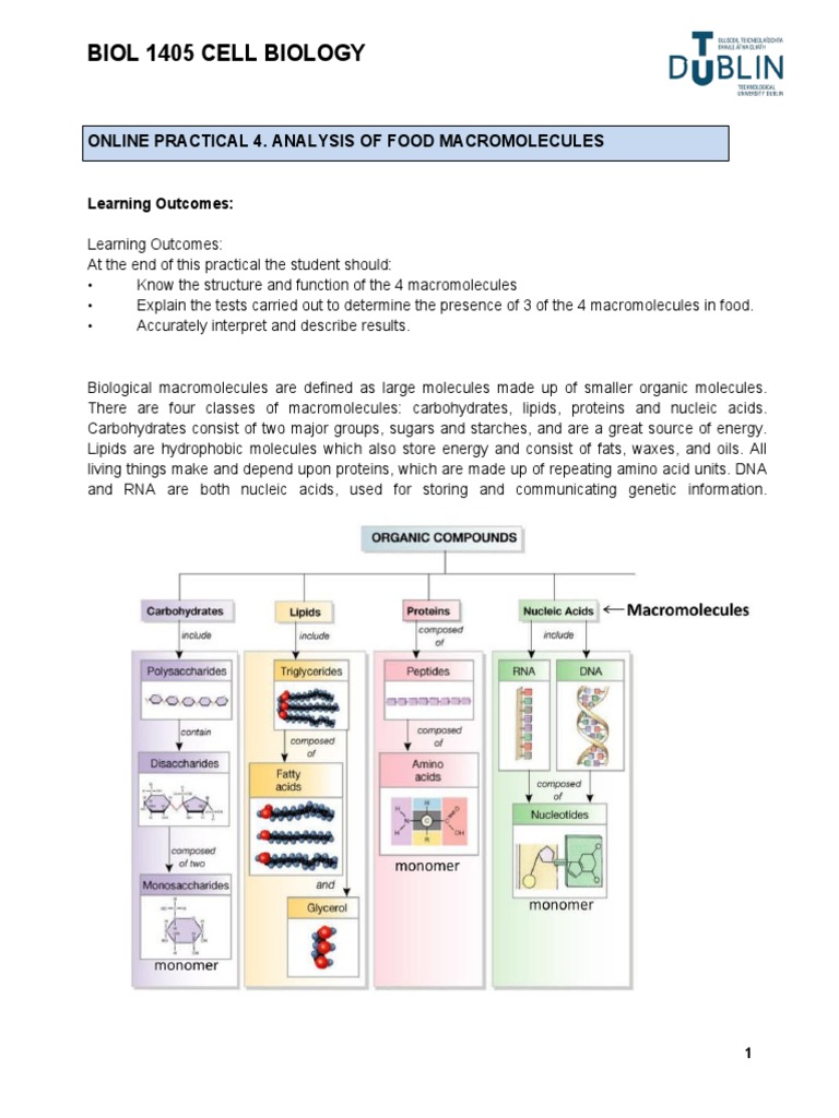 Analysis of Food Macromolecules | PDF | Macromolecules | Carbohydrates