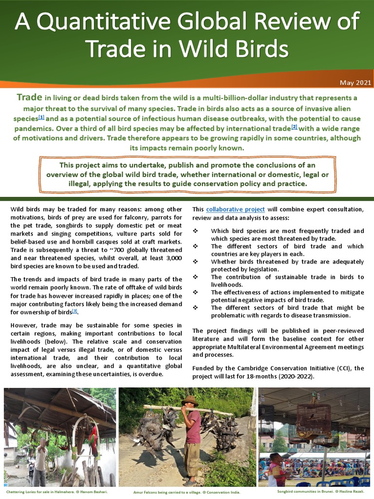 Bird Trade Project - Summary Document | PDF | Birds | Parrot