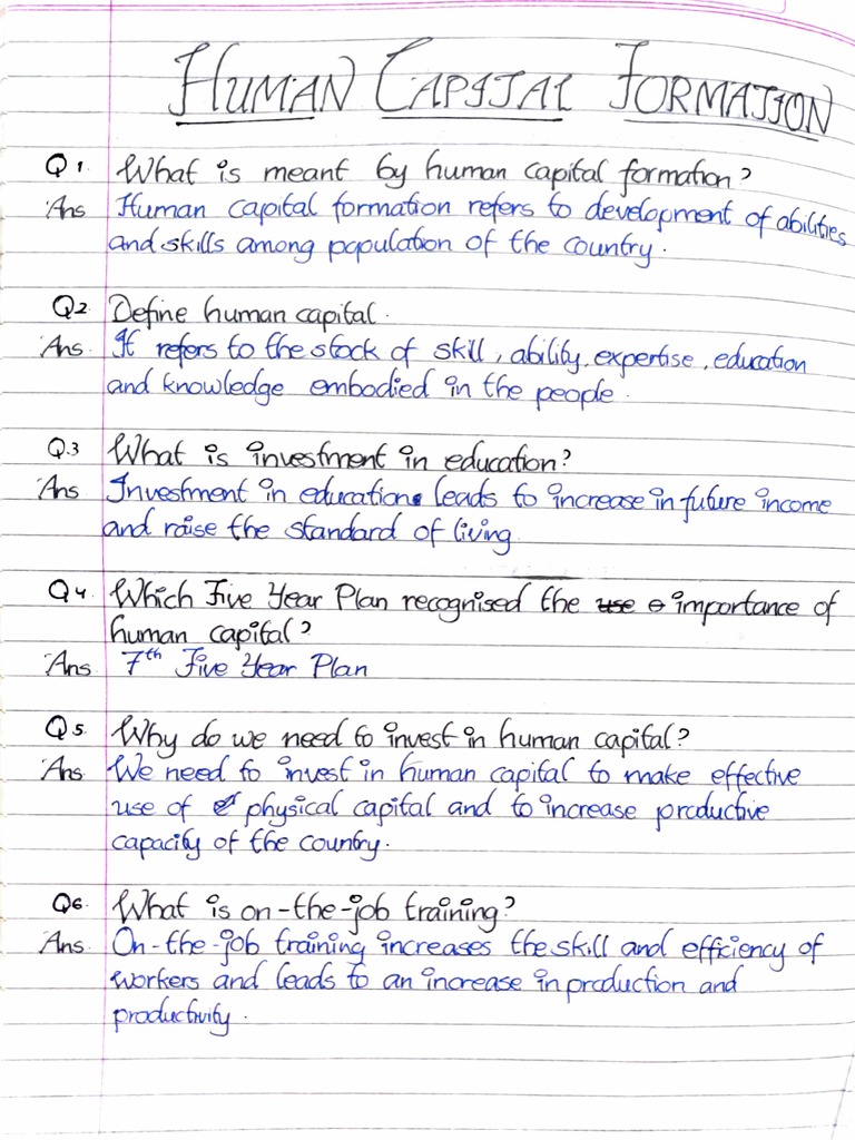 Human Capital Formation | PDF | Production And Manufacturing ...