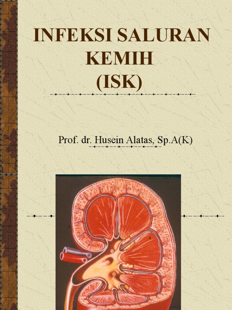Presentasi Infeksi Saluran Kemih (Isk) | PDF