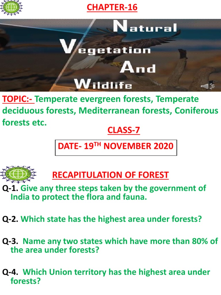 PDF Class-7 PPT Second On Natural Vegetation and Wildlife 1 | PDF