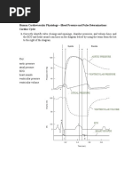MODULE 12 Gross Anatomy of The Muscular System | PDF | Foot ...