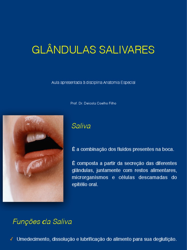 Glândulas Salivares | PDF | Saliva | Anatomia humana