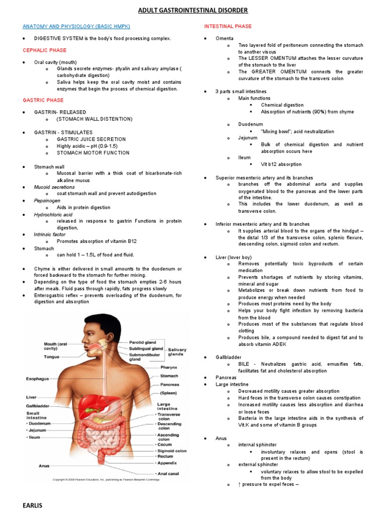 Adult Gastrointestinal Disorders Overview | PDF | Digestion | Stomach