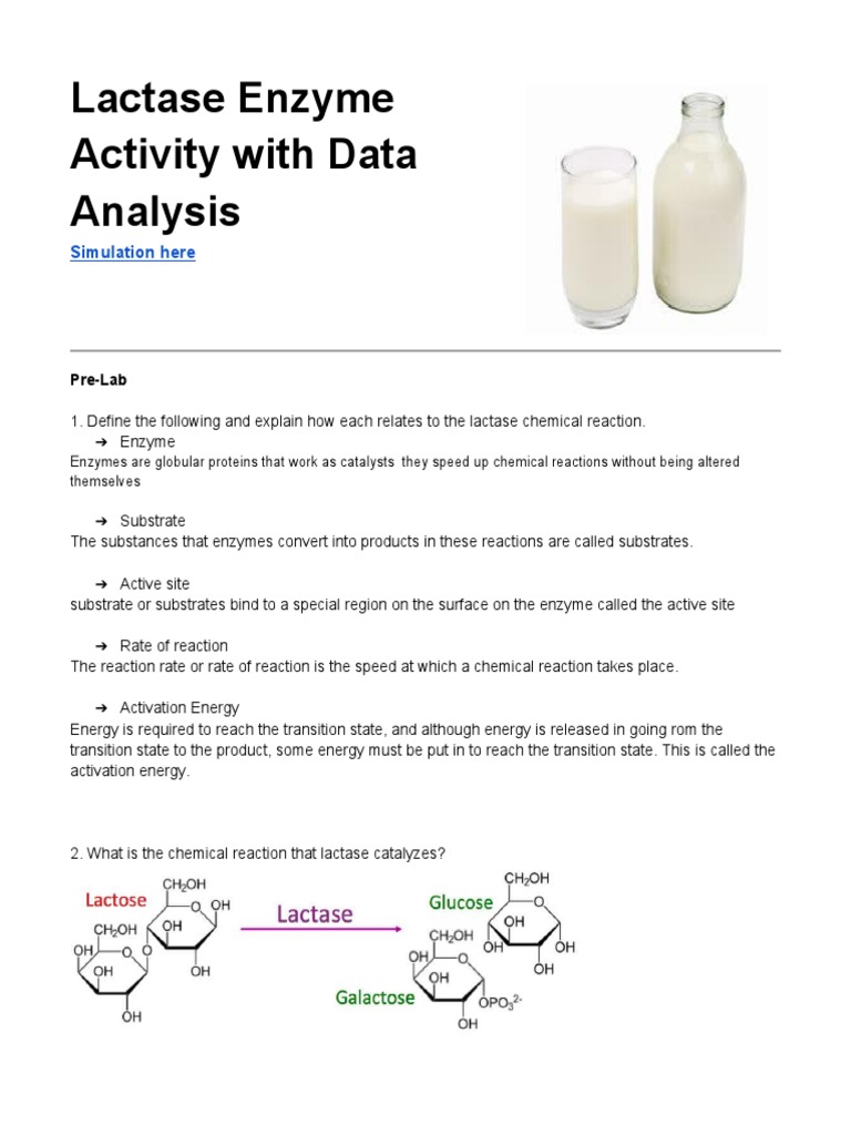 Lactase Enzyme Activity Analysis | PDF | Enzyme | Active Site