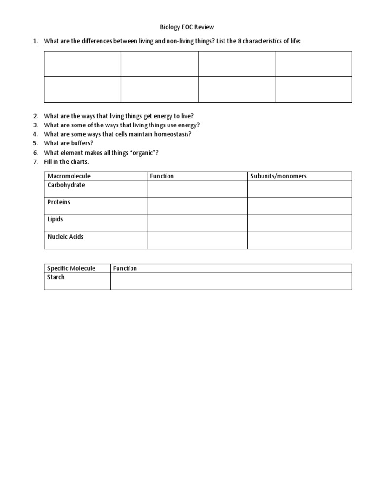 Biology EOC Review | PDF | Dominance (Genetics) | Genotype