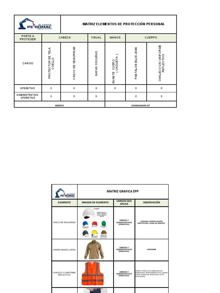 2.1 Matriz de Epp | PDF