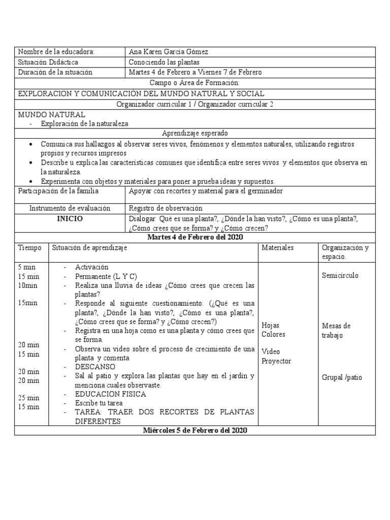 Conociendo Las Plantas | PDF