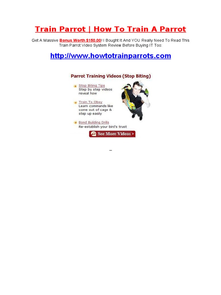 Train Parrot How To Train A Parrot | PDF | Parrot | Ornithology