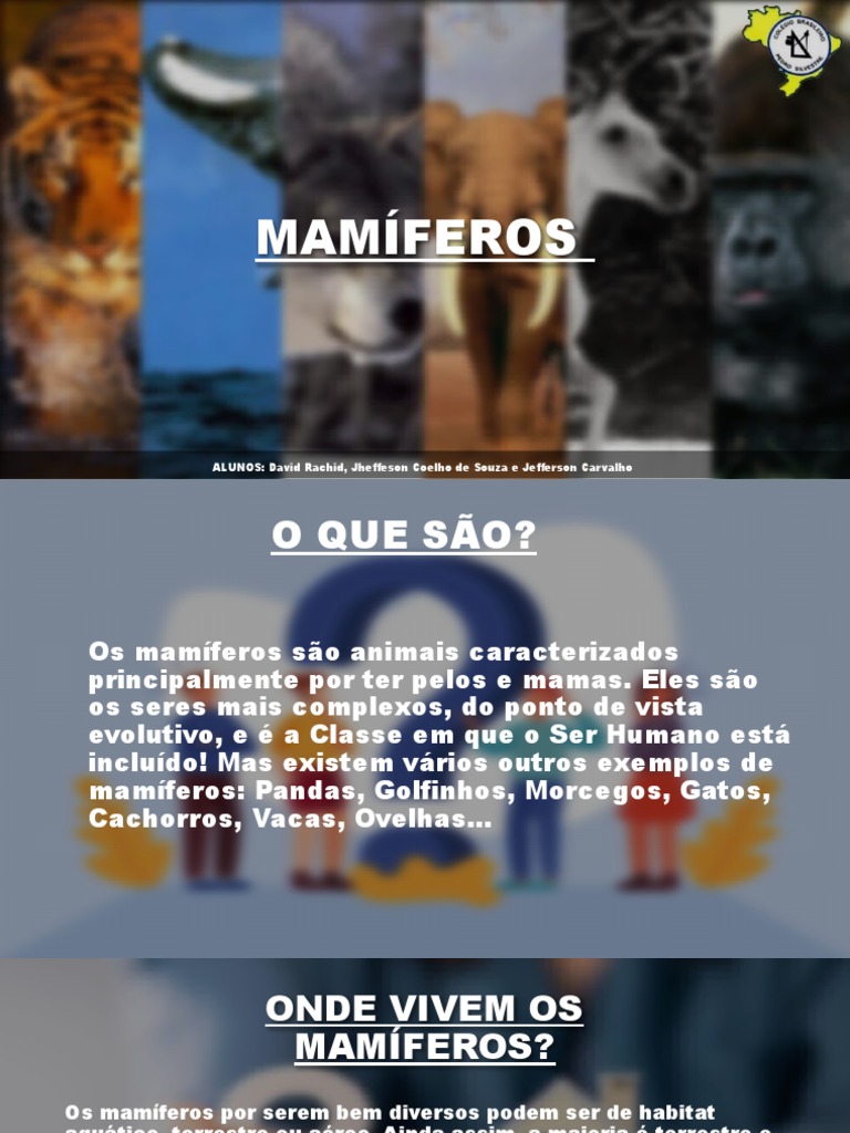 MAMÍFEROS | PDF | Mamíferos | Marsupiais