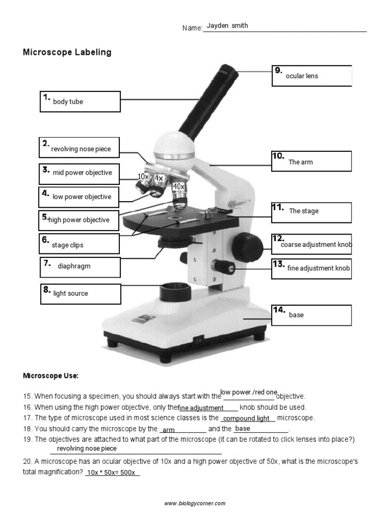 Jayden Smith - Biology I, Blank Microscope | PDF | Science & Mathematics