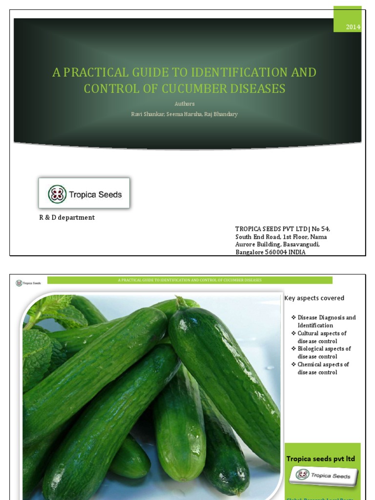 A Practical Guide To Identification and | PDF