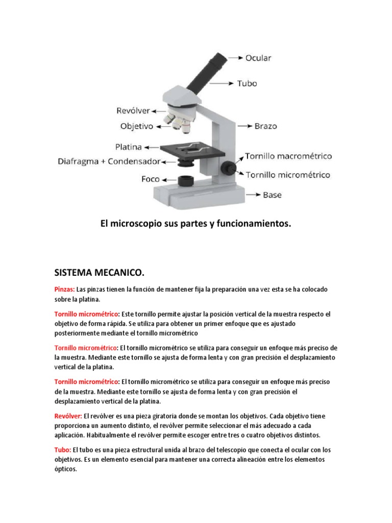 Partes Del Microoscopio y Sus Funciones | PDF | Lente de la cámara | Óptica