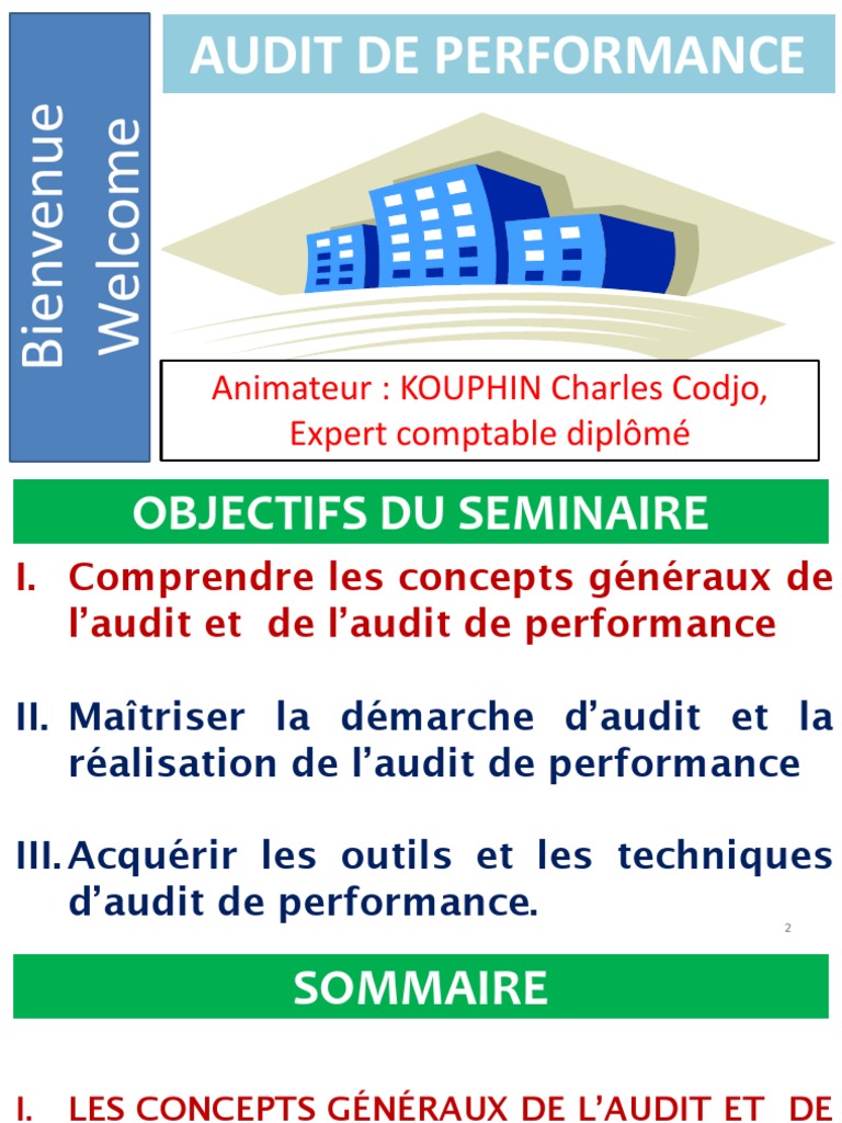 AUDIT DE PERFORMANCE IGE 2014 Bon | PDF | Audit | Contrôle interne