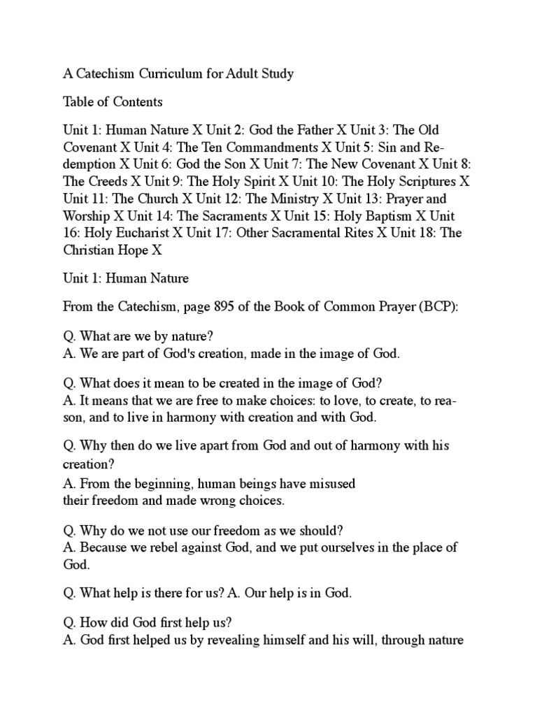 Adult Catechism Curriculum | Download Free PDF | Baptism | Eucharist