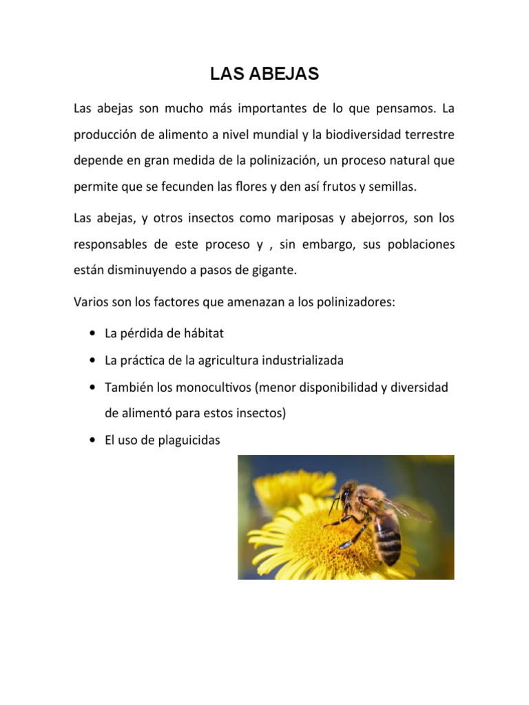 Las Abejas | PDF