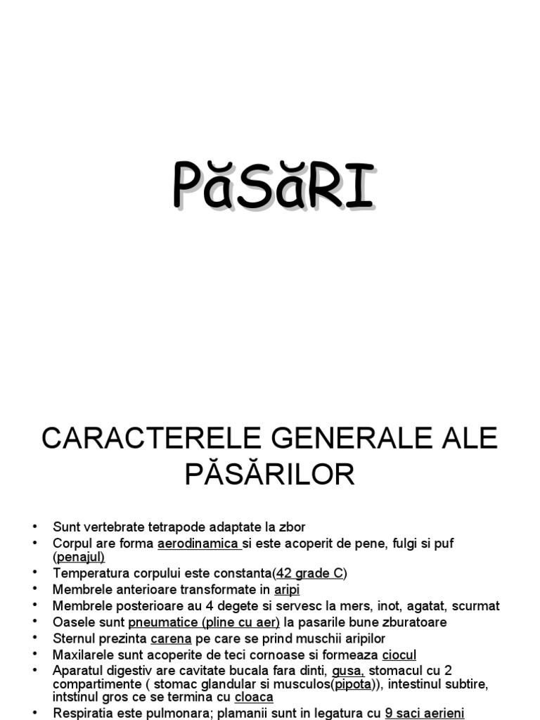 Pasari Grupedepasari | PDF