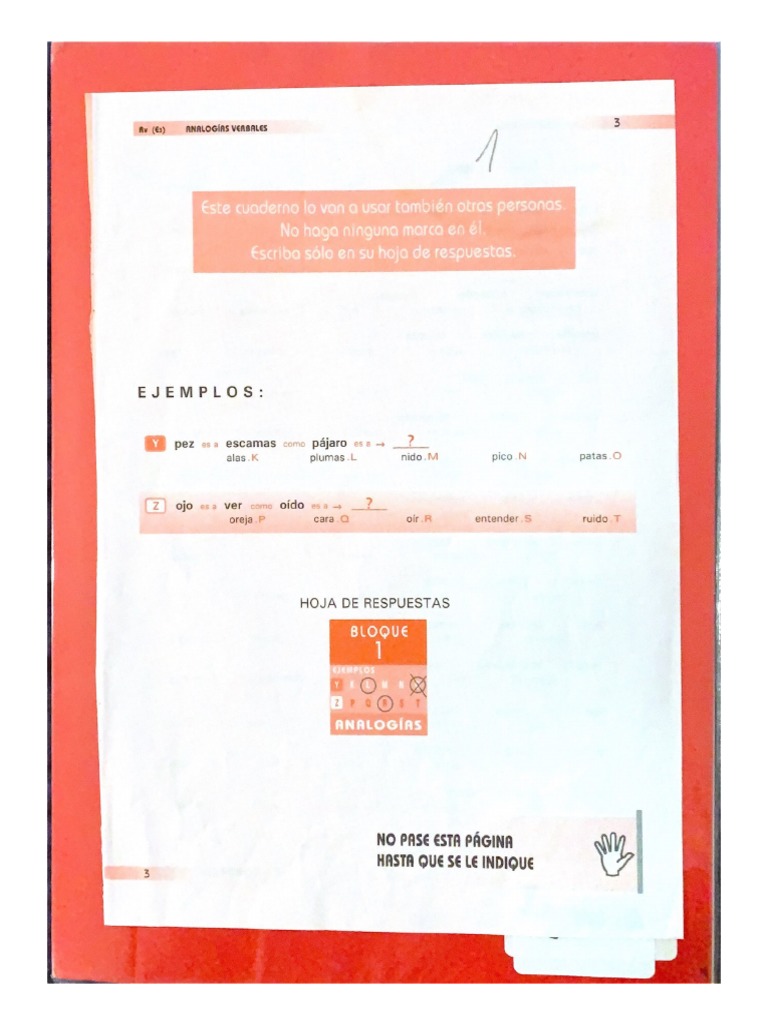 Badyg E3 Primera Parte 5 - 6 - 7 | PDF