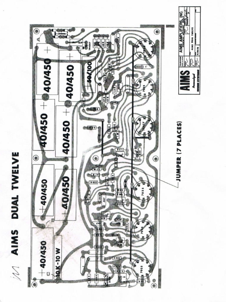 Aims Dual Twelve Layout | PDF
