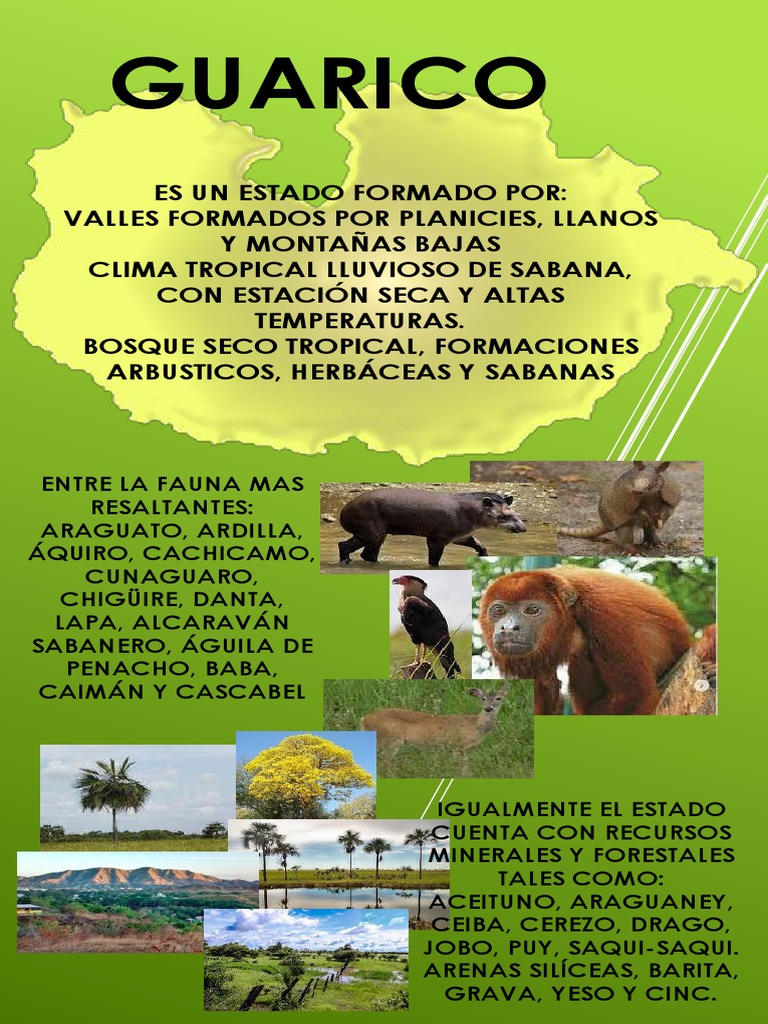 Infografía Guárico | PDF
