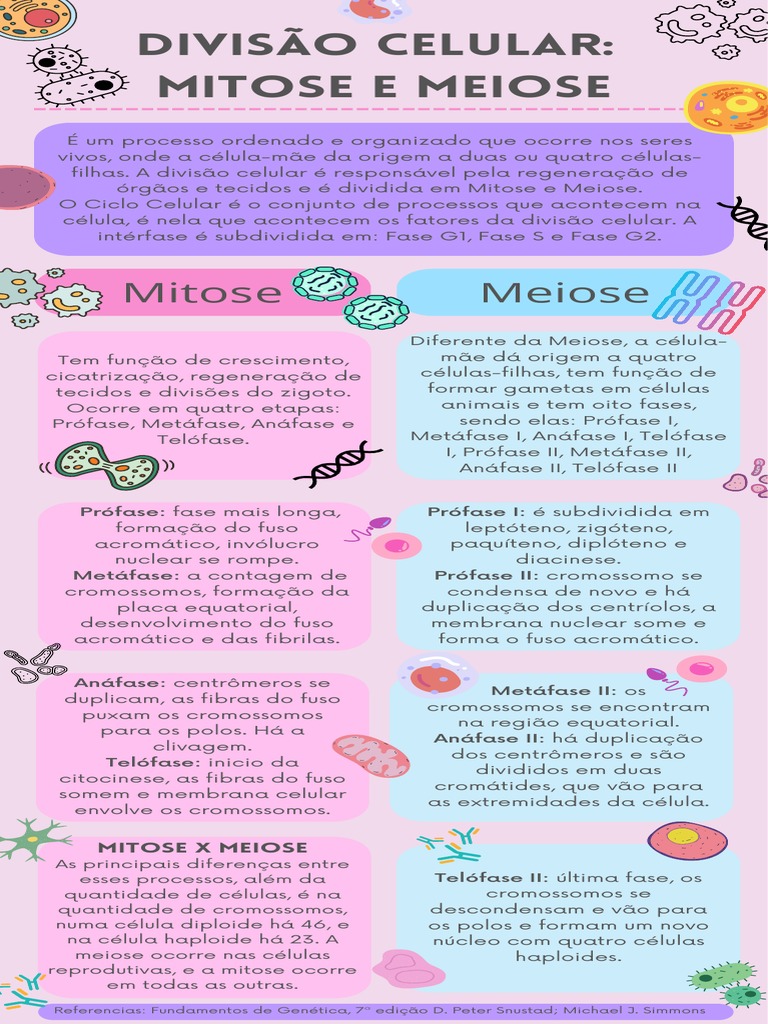 Infográfico Celular Mitose e Meiose | PDF