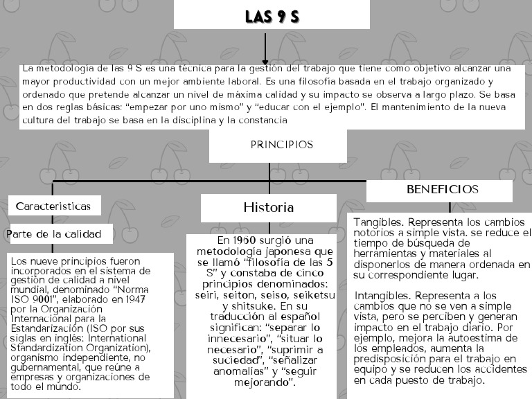 Mapa Conceptual Las 9 S | PDF | Organización internacional para la estandarización | Business