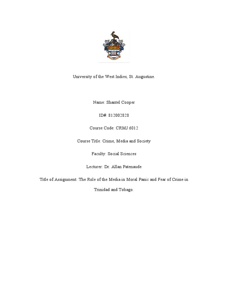Media and Fear of Crime Paper | PDF | Crimes | Crime & Violence