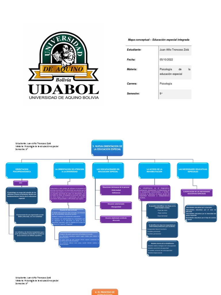 Mapas Conceptuales - Educacion Especial Integrada | PDF | Educación especial | Plan de estudios