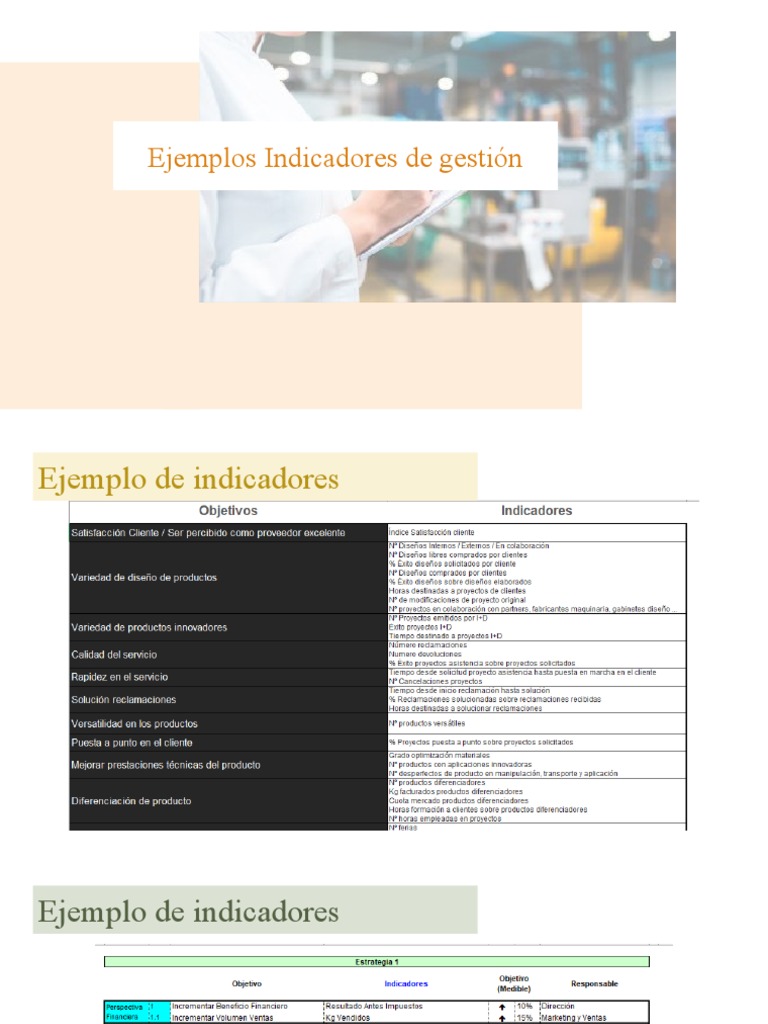 Indicadores Ejemplos | PDF