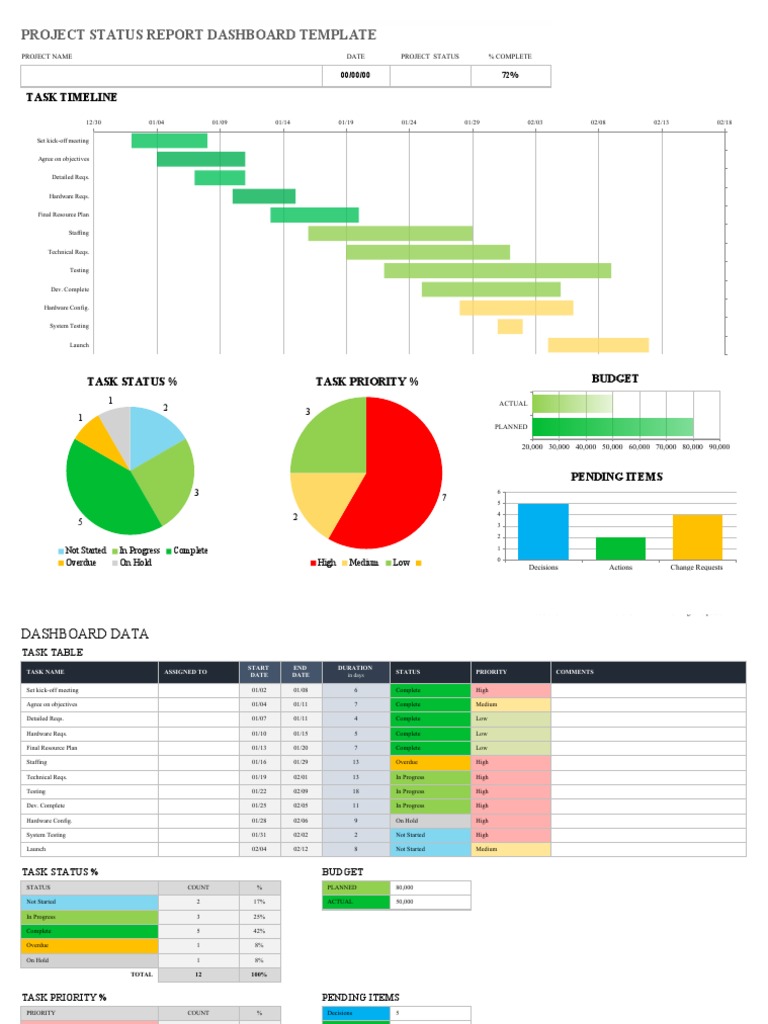 IC Project Status Report Dashboard 11379 | PDF
