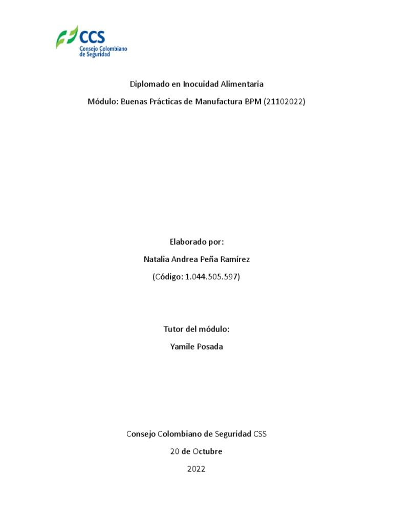 TAREA MODULO 6 BPM Natalia Peña | PDF