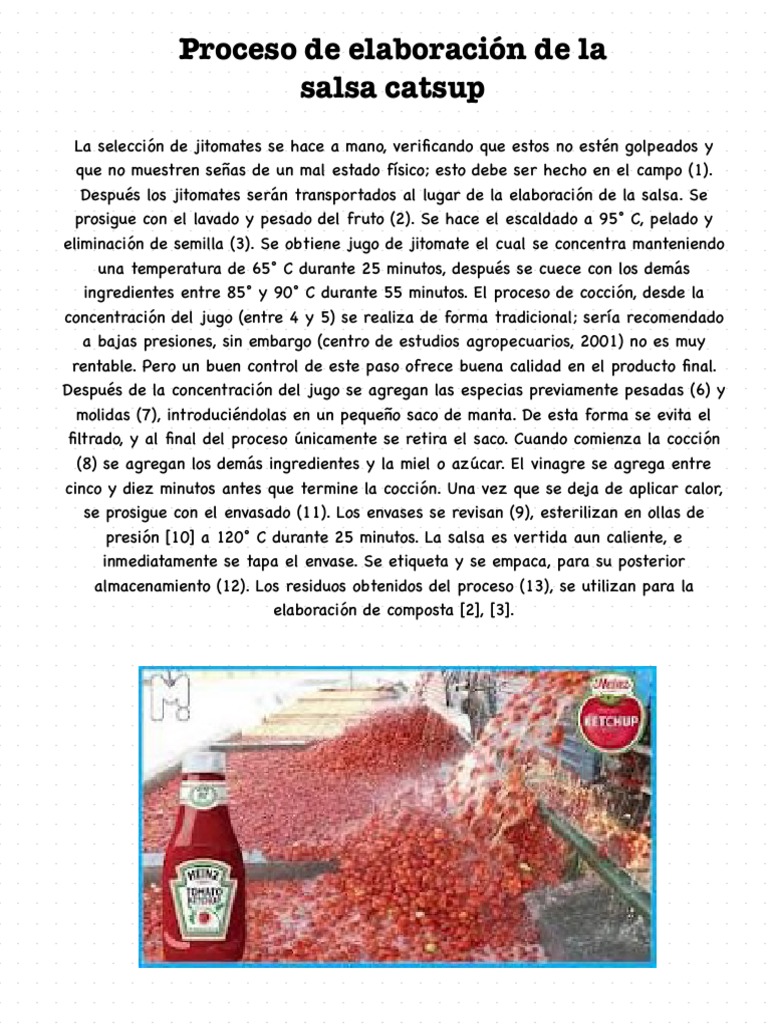 Proceso de Elaboración de La Salsa Catsup | PDF