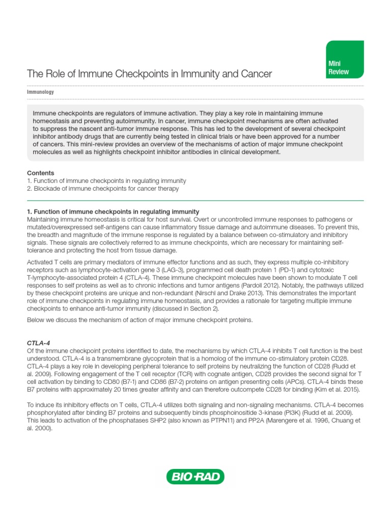 The Role of Immune Checkpoints in Immunity and Cancer | PDF | Immune System | T Cell
