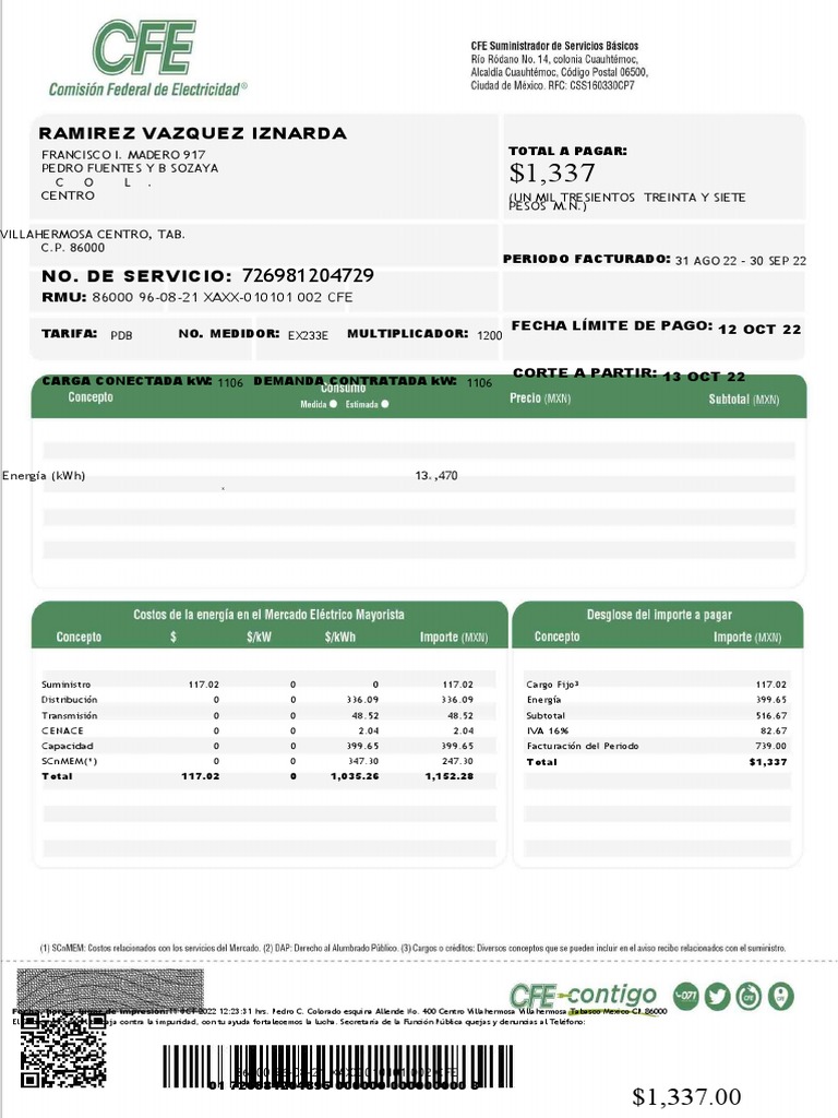 Comprobante de Domicilio Editable | PDF | Electricidad | Naturaleza