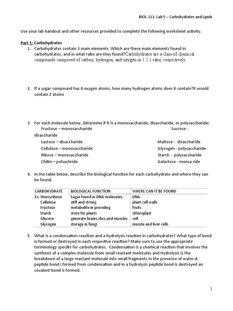 Biol-111 - Carbohydrate & Lipids Worksheet | PDF