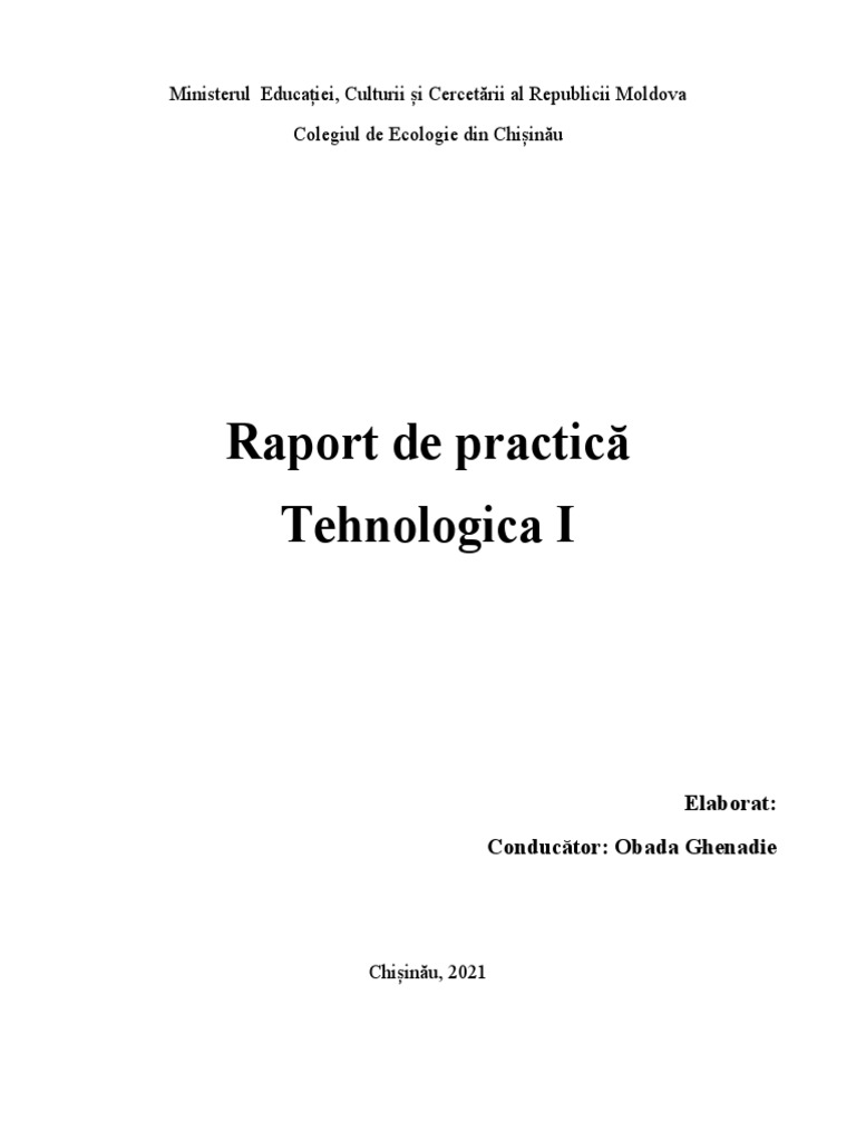 Raport Practica Model | PDF